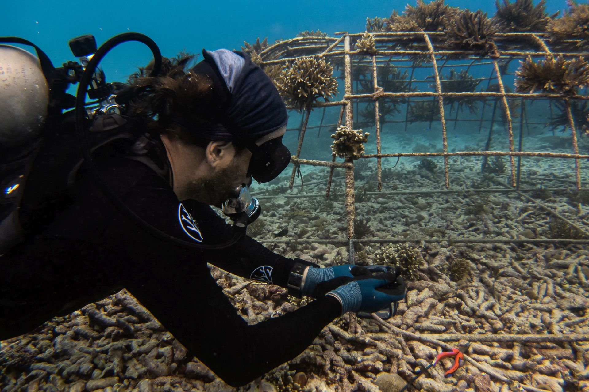 Blancpain and Fregate Island Private release short film presenting ...
